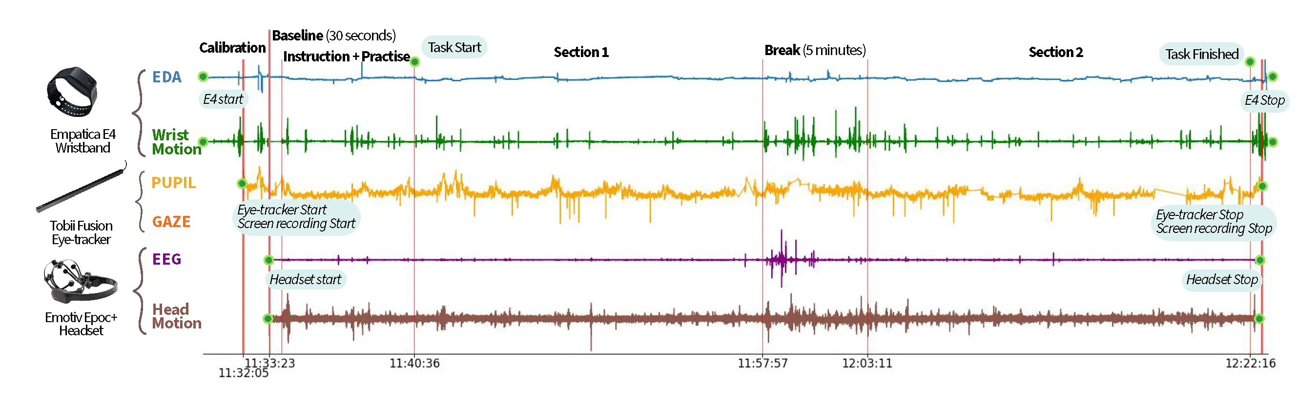 SenseSeek Dataset: Multimodal Sensing to Study Information Seeking ...